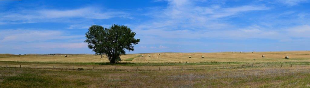 RUSS HONS: Photo Gallery — A Medora Weekend – UNHERALDED.FISH