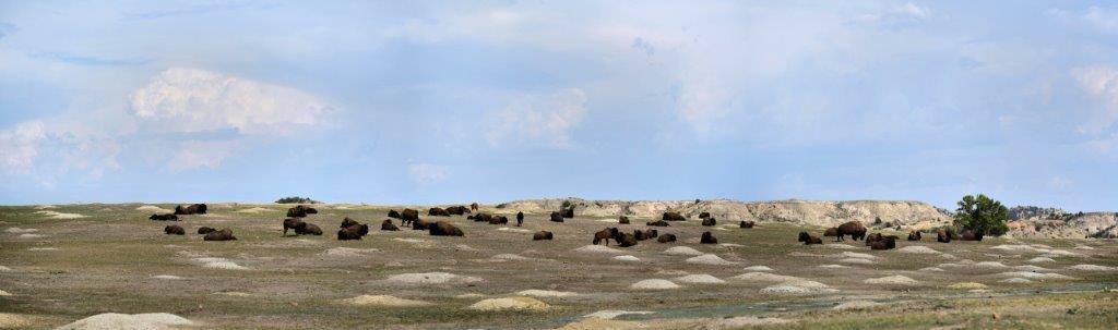 RUSS HONS: Photo Gallery — A Medora Weekend – UNHERALDED.FISH