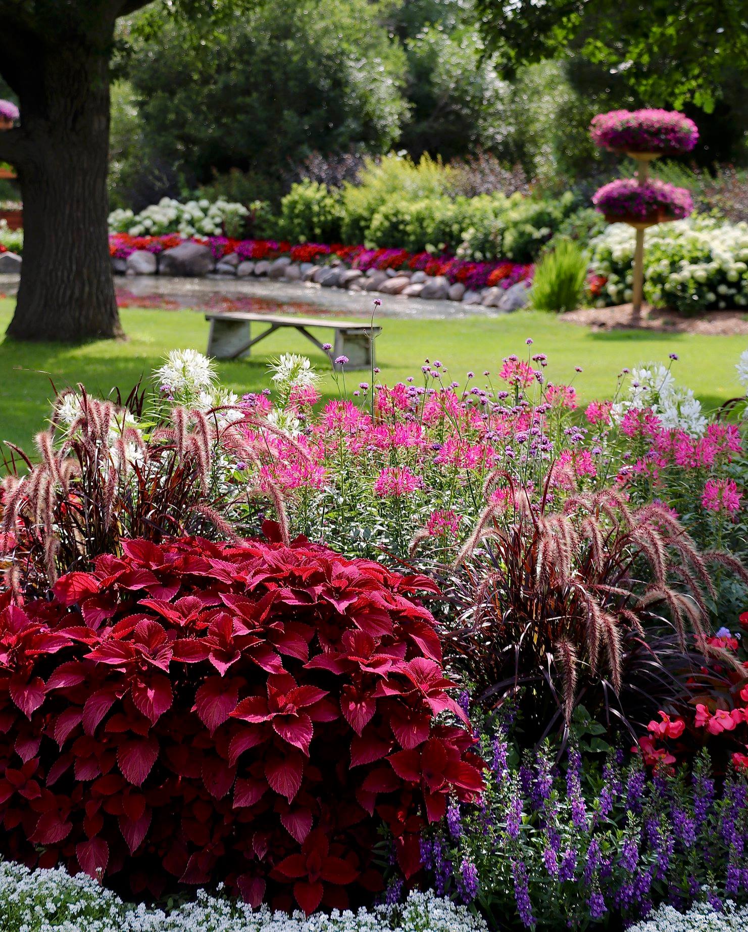 ERIC BERGESON: Photo Gallery — Bergeson Gardens – UNHERALDED.FISH