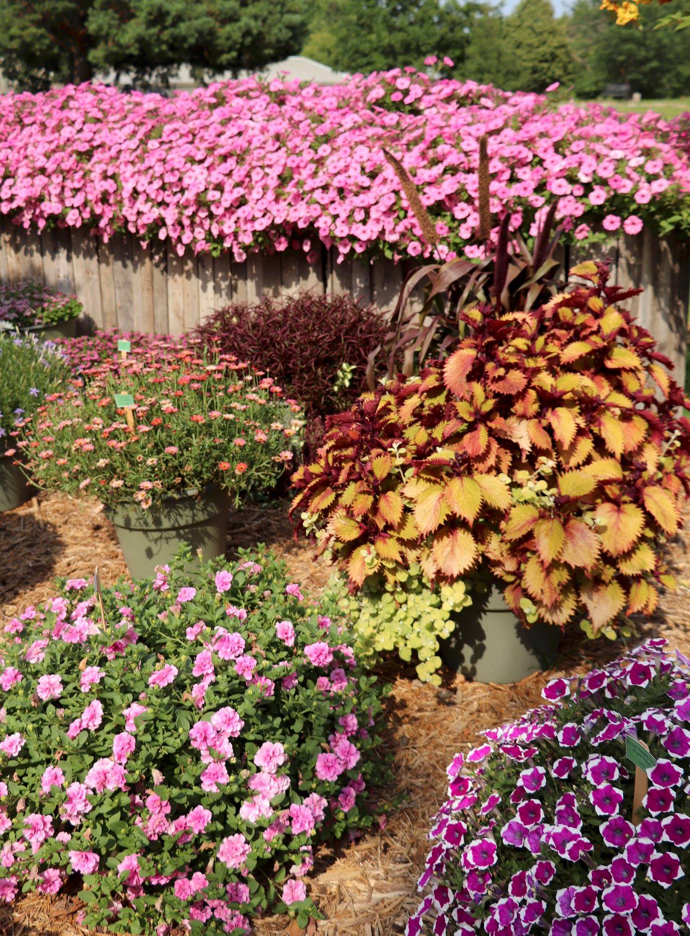 ERIC BERGESON: Photo Gallery — Bergeson Gardens – UNHERALDED.FISH