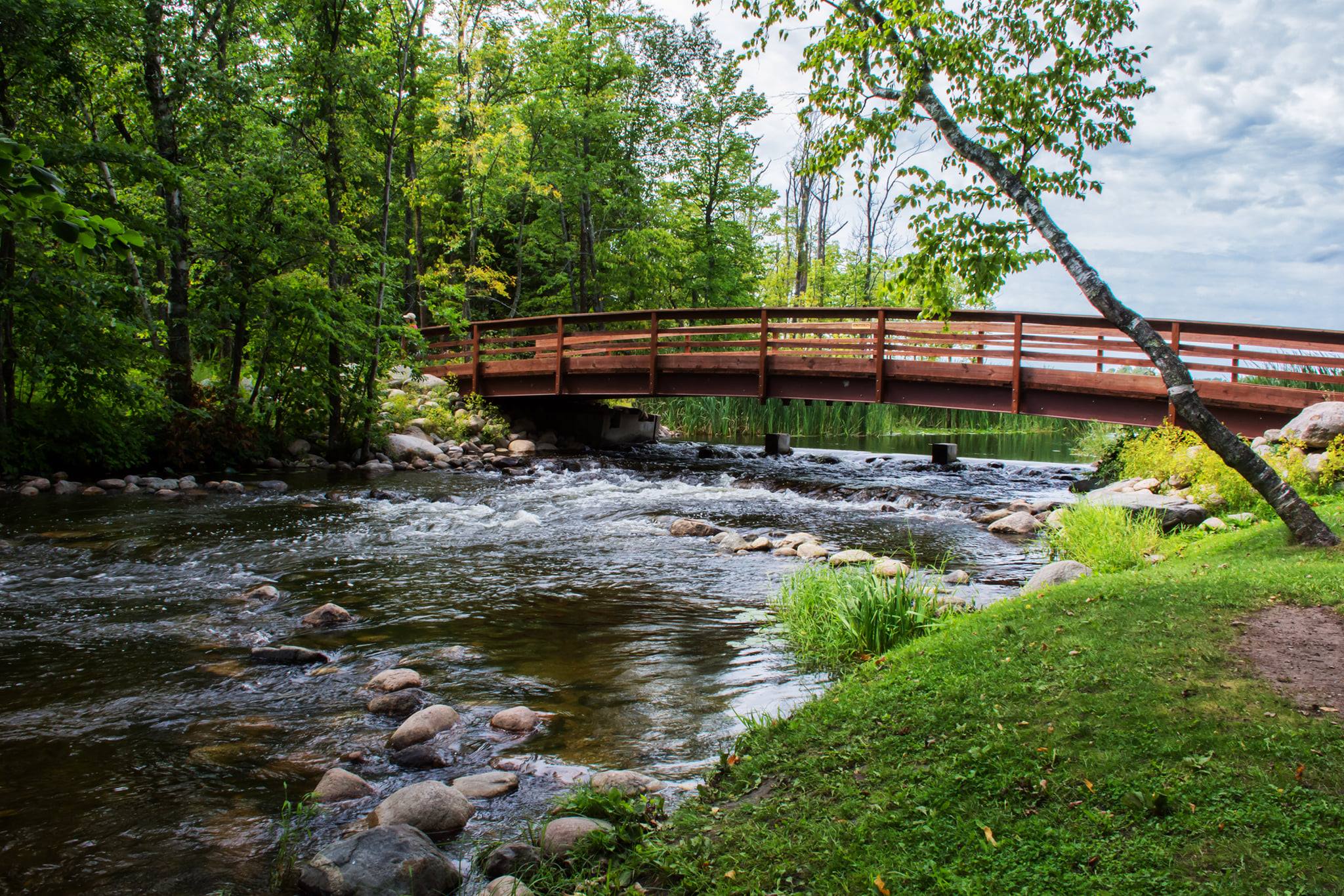 MICHAEL BOGERT: Photo Gallery — Three Island Lake County Park ...