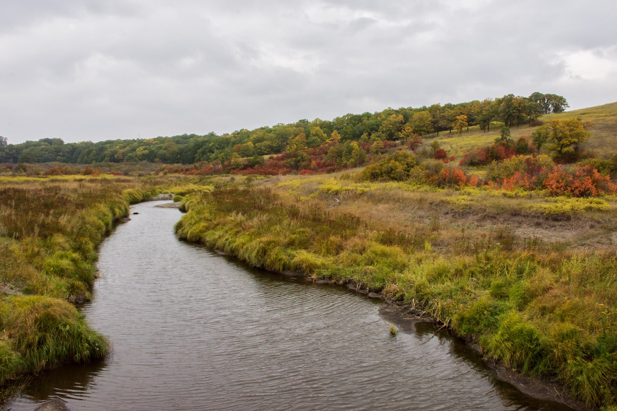 b1 – UNHERALDED.FISH