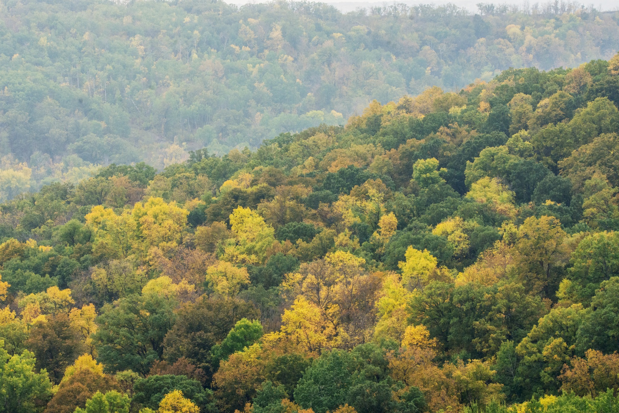 b11 – UNHERALDED.FISH