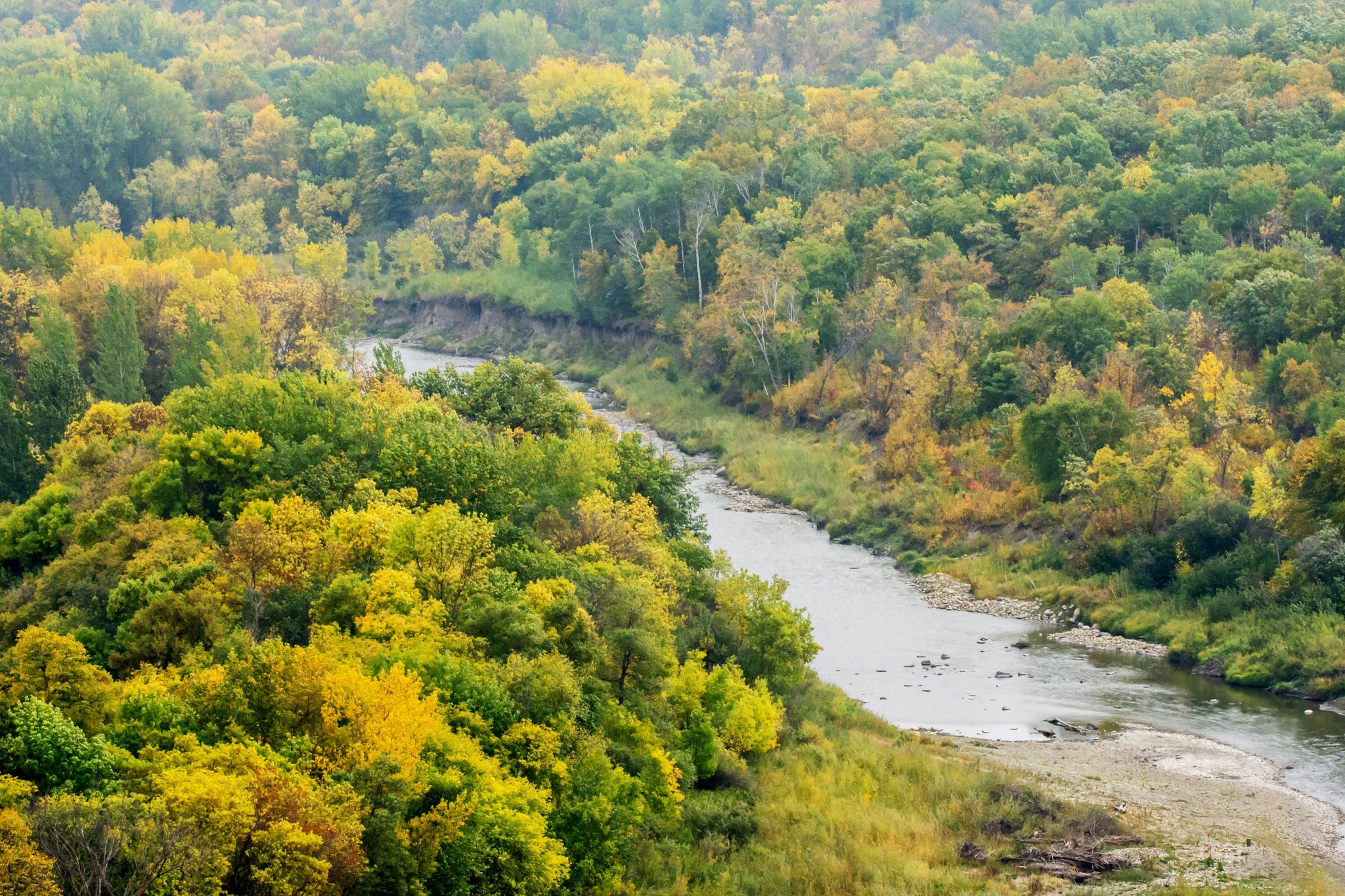 b12 – UNHERALDED.FISH