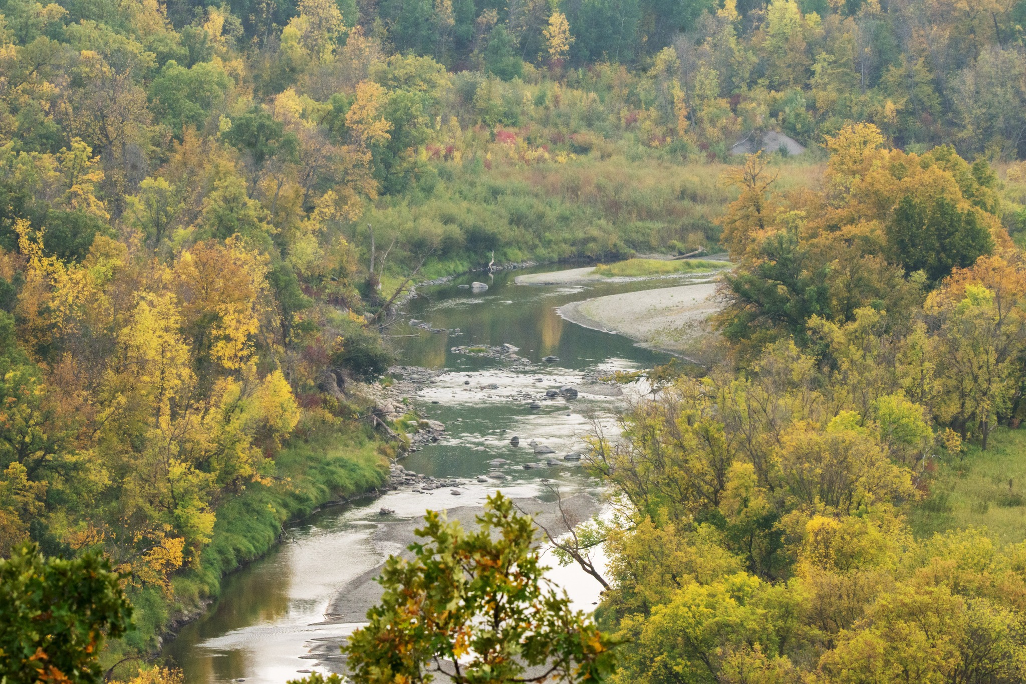 b8 – UNHERALDED.FISH