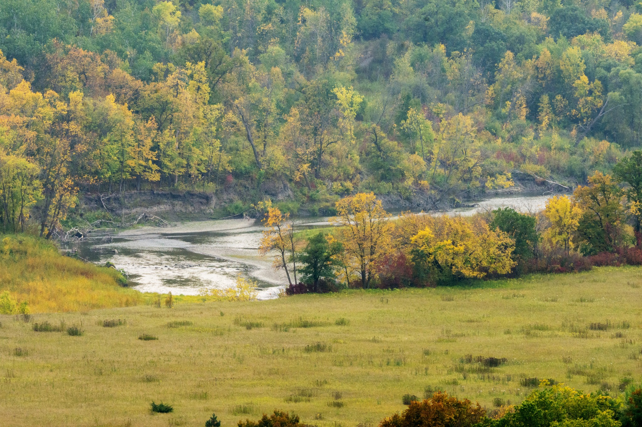 b9 – UNHERALDED.FISH