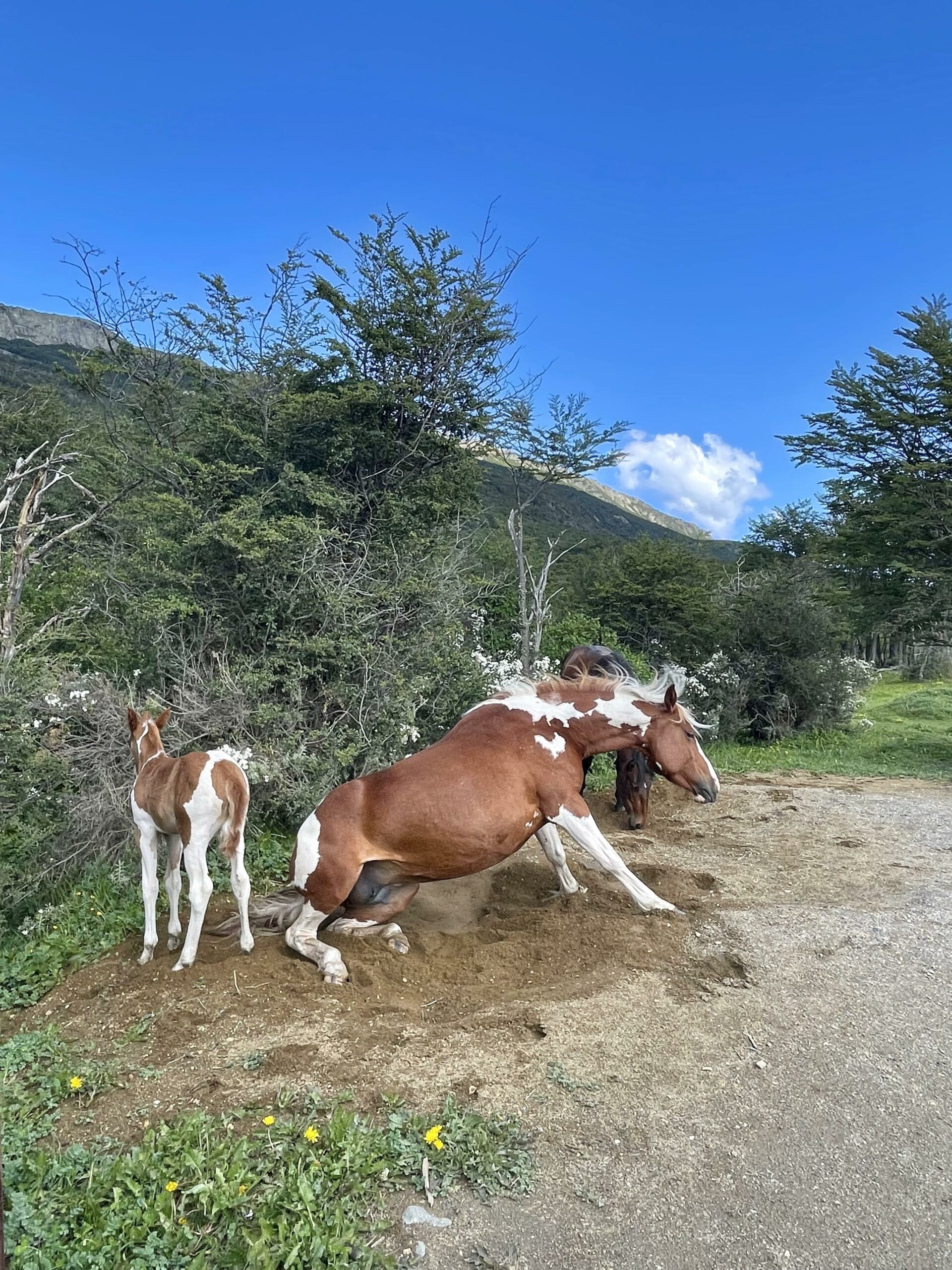 ant3 – UNHERALDED.FISH