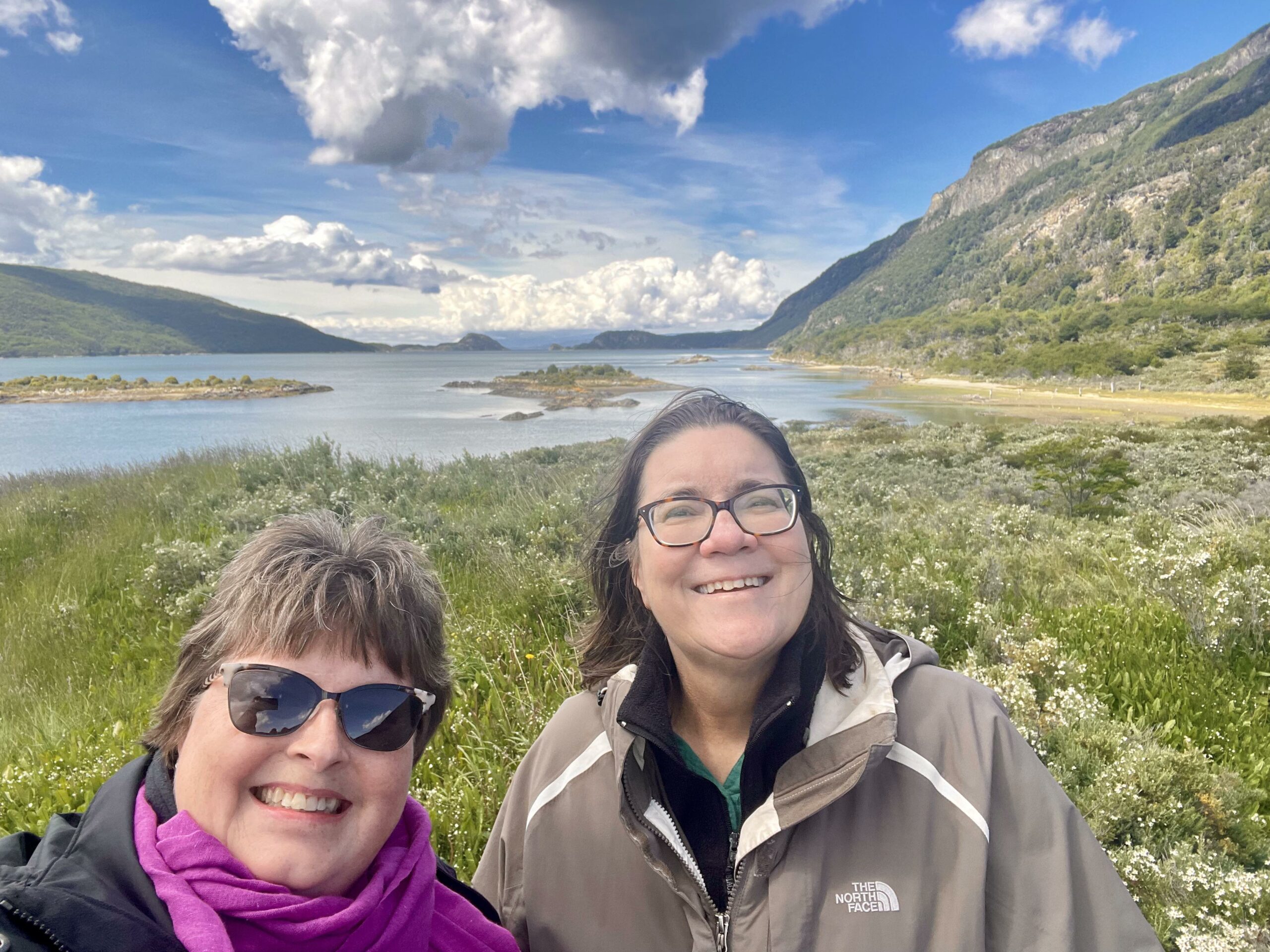 ant6 – UNHERALDED.FISH