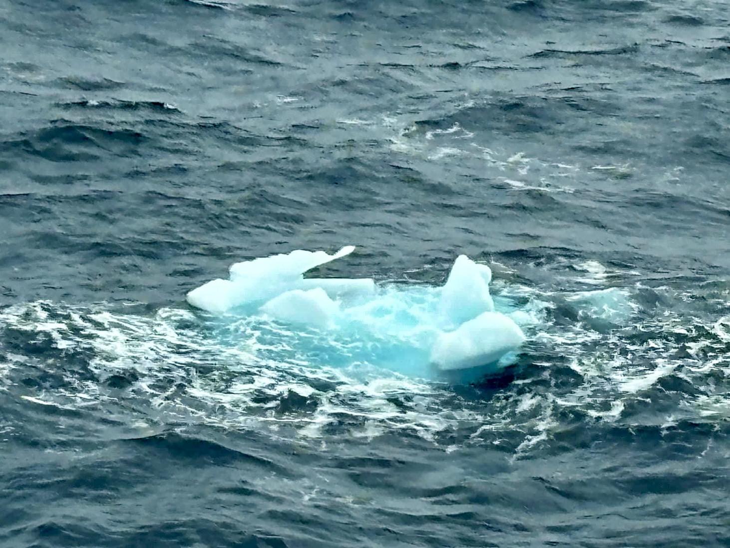 ant8 – UNHERALDED.FISH