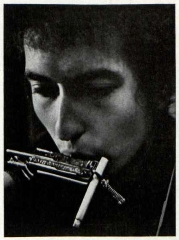 dylan harp heater – UNHERALDED.FISH